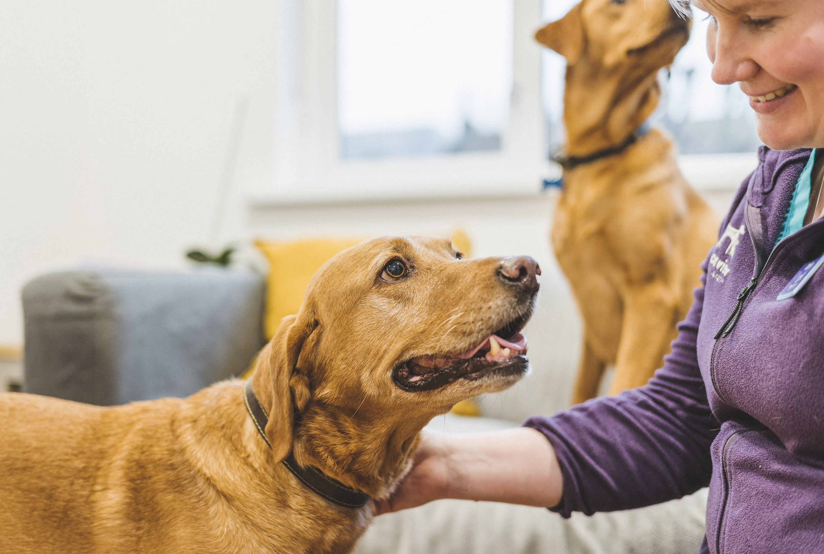 Paying for Treatment - East Kent Veterinary Referrals